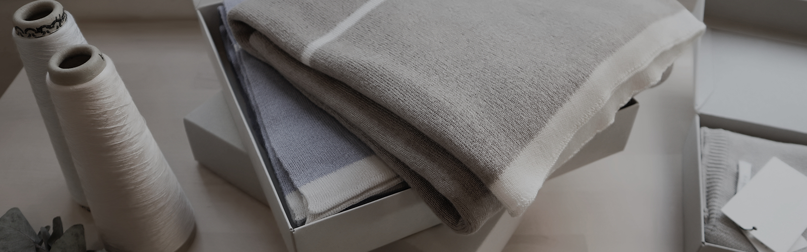 bg-page-header-silk-products - Hasegawa Corporation
